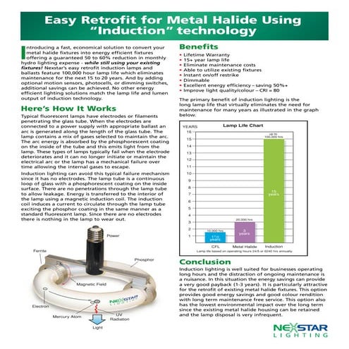 Induction Lighting | DOCX