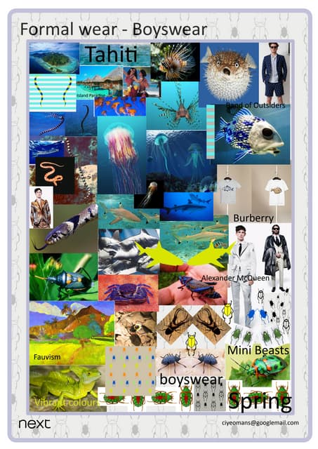 Mood board sportswear adidas | PDF