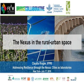 The Nexus in the rural-urban space | PPT