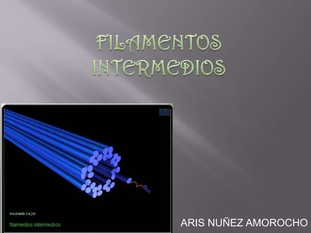 La célula | PPT