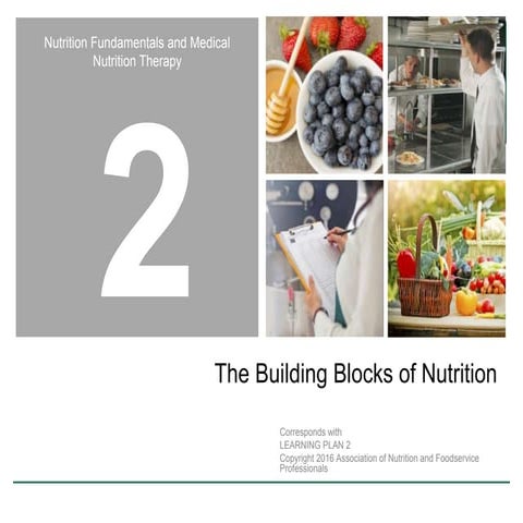 NFMNT Chapter 2 The Building Blocks of Nutrition | PPT