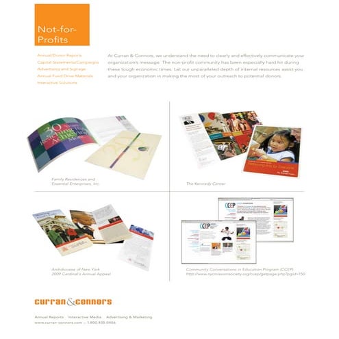 Non-Profit Case Study Brief | PDF