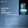 NFT Development Agency | PDF