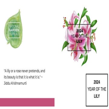 NGB Year of PPT Lily 2024.pptx