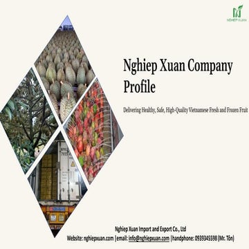 Nghiep-Xuan-Company-Profile-2025 english.pdf