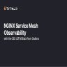 NGINX Service Mesh Observability with the LGTM Stack from Grafana | PPT