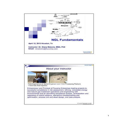 Ngl fundamentals 102 matonis public release | PDF