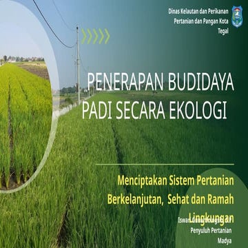 Budidaya Padi Secara Ekologi di Lahan Demplot.ppt