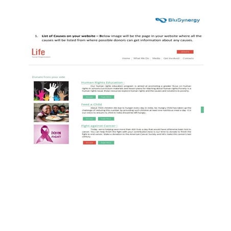 NGO Donation collection Process Flow | PDF
