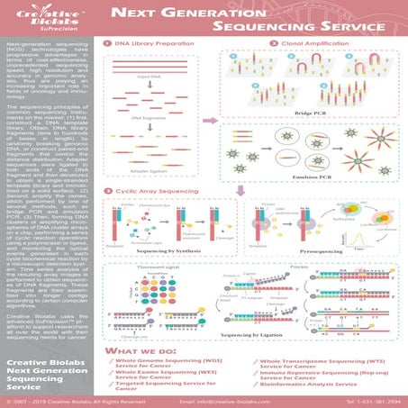 Ngs technology | PDF