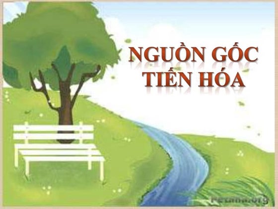 [CÂU HỎI NHÓM 4] NGÀNH GIUN TRÒN + ĐỘNG VẬT CÓ THỂ XOANG GIẢ.docx