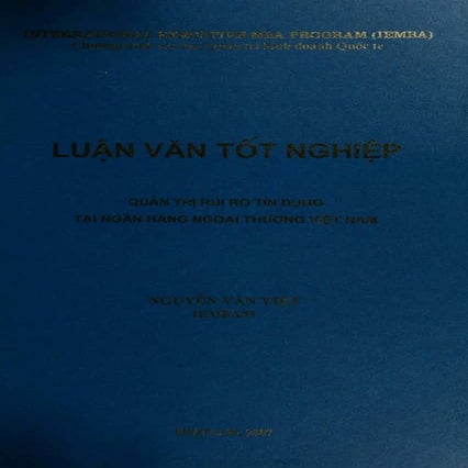 NGUYEN VAN VIET_QUAN TRI RUI RO.pdf