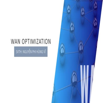 NguyenPhiHungVi_2033225834_WAN_Optimization.pptx