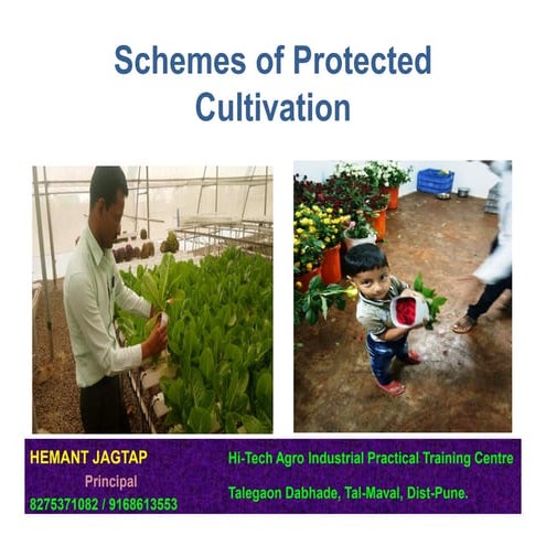 Schemes of Protected Cultivation | PDF
