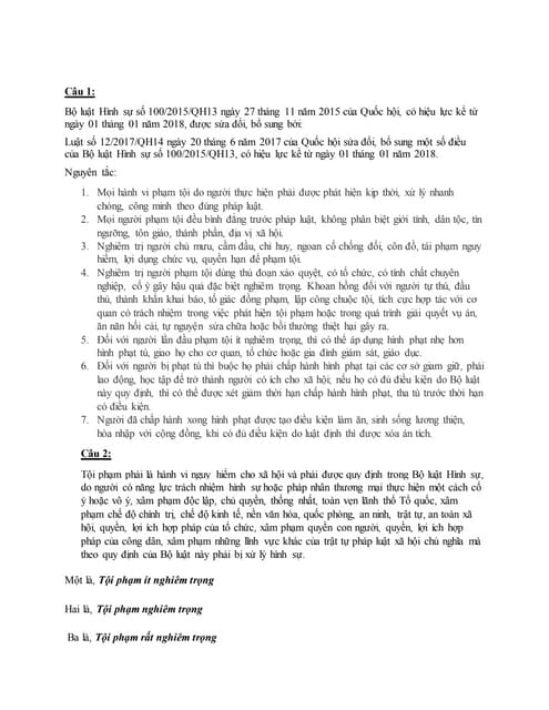 Bo-Luat-Hinh-Su-Viet-Nam slide bai giang.pptx