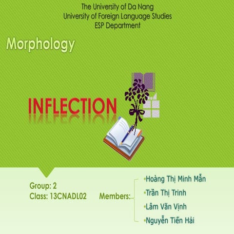 Morphology | PPT