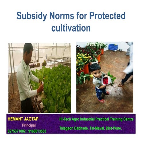 Subsidy Norms for Protected cultivation | PDF