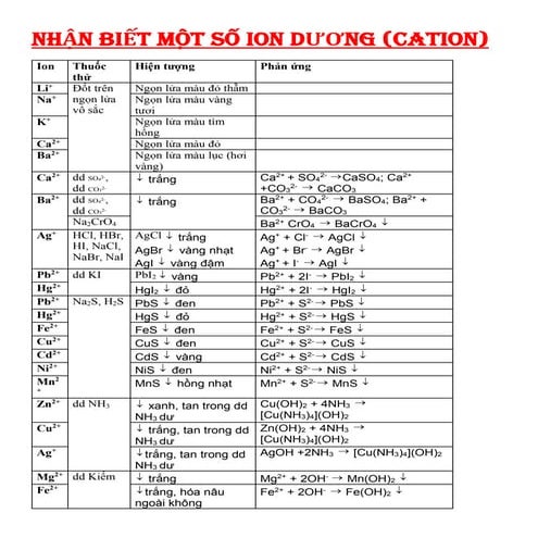 Nhận biết cation | PDF