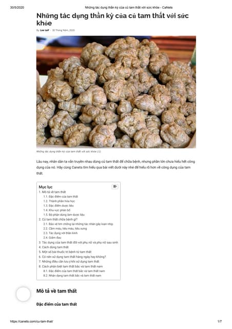 Bun dau mam tom | PDF