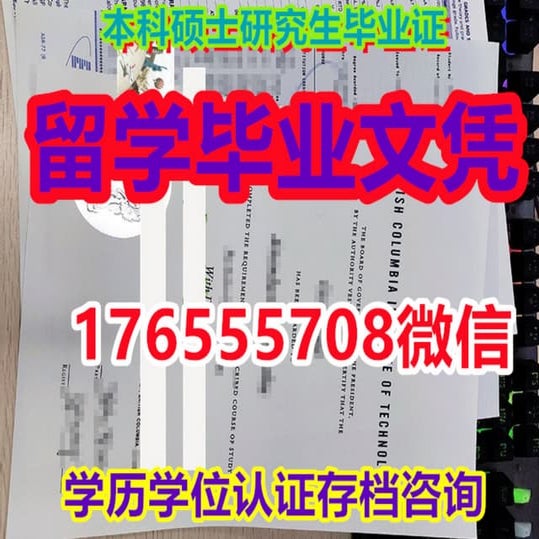 UCSD毕业证 | PDF