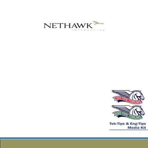 NetHawk Media Kit | PDF