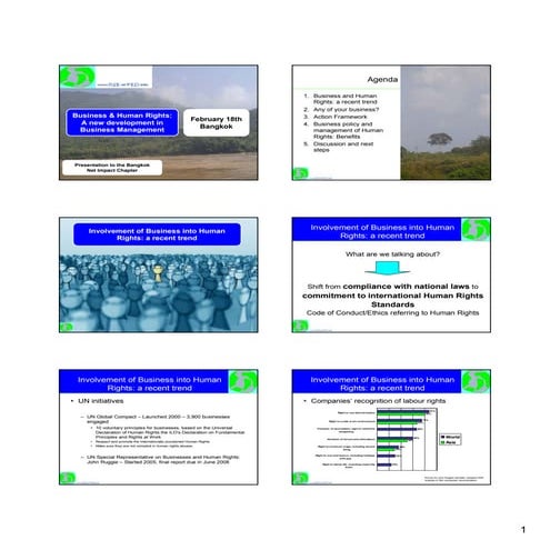 An Overview of Business and Human Rights | PDF