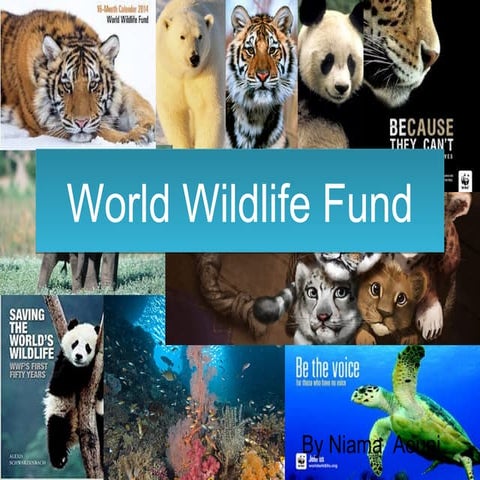 World Wildlife Fund | PPT