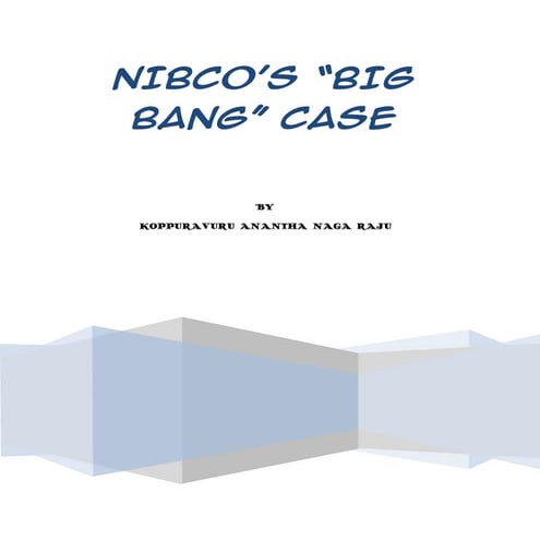 Nibco case study | DOCX