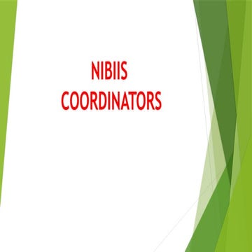 ppt presentasi tentang NIBIIS COORDINATORS.pptx