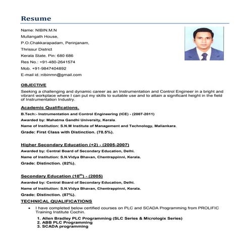 Nibin resume | PDF
