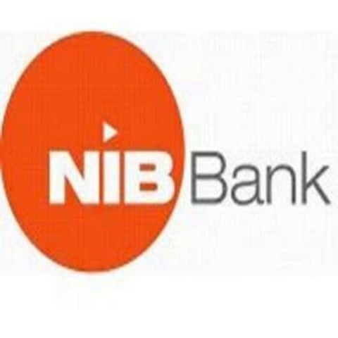 Nib (National Investment Bank) Pakistan | PPTX