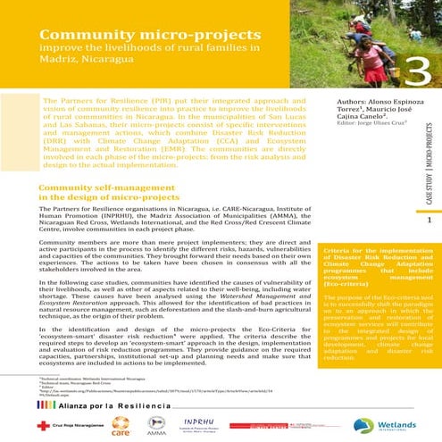 Community micro-projects | PDF