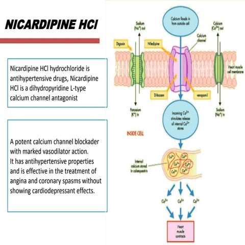 NICARDIPINE.pptx