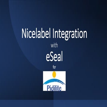 Nicelabel Integration.pptx