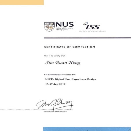 NICF- Digital User Experience Design | PDF | Computer Software and Applications | Computing