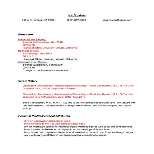 Resume Naga | DOCX