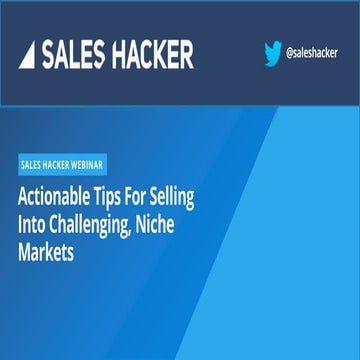 Actionable Tips For Selling Into Challenging, Niche Markets | PDF