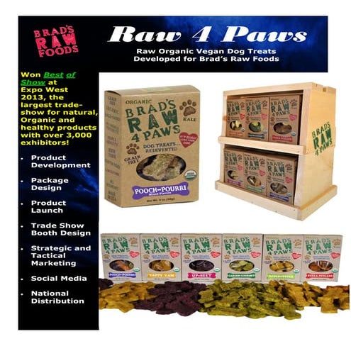 Nicholas renzi portfolio