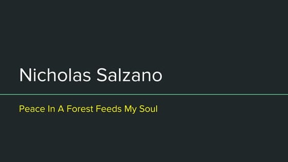 Nicholas salzano - time to plan your vacation to bulgaria | PPT