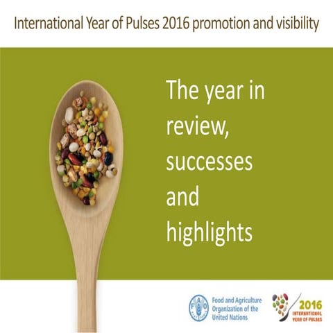 The IYP 2016 promotion and visibility: the year in review, success and highlights | PPT