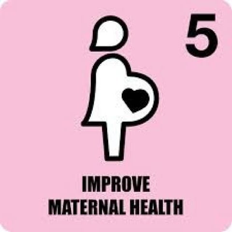 Millennium Development Goal 5 | PPT
