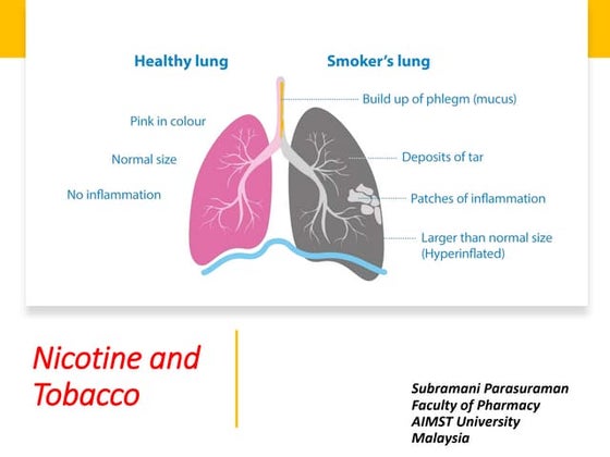 RBC count and WBC count | PPTX | Blood Disorders | Diseases and Conditions