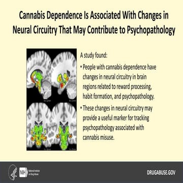 Cannabis Dependence Is Associated With Changes in Neural Circuitry That ...