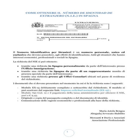 N.I.E. NUMERO DE IDENTIDAD DE EXTRANJERO | PDF