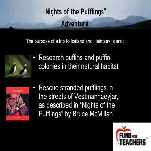 Nights of the pufflings | PPT
