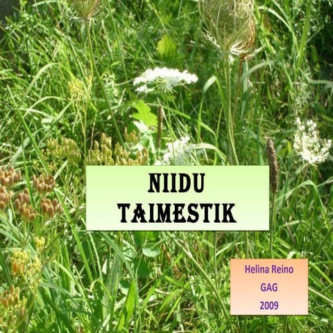 Eesti PõõSad | PPT