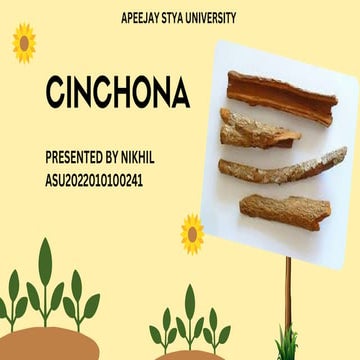 Cinchona by Nikhil, Bachelor of pharmacy 3rd Year | PDF