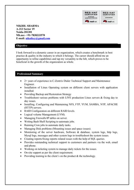 rays current resume | PDF