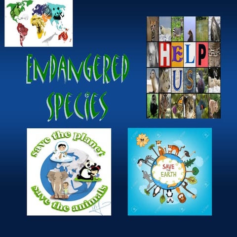 Endangered Species | PPT
