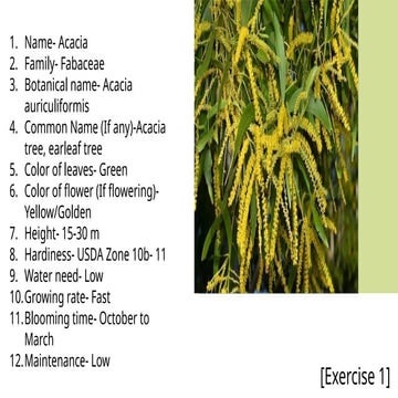 PLANT ( ACACIA ) THEIR BOTANICAL NAME STUDY IN LANDSCAPE | PPTX